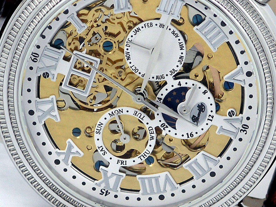 NEW ROMILLY CABOT AUTOMATIC SKELETON MULTI FUNCTION WATCH SILVER BROWN ...