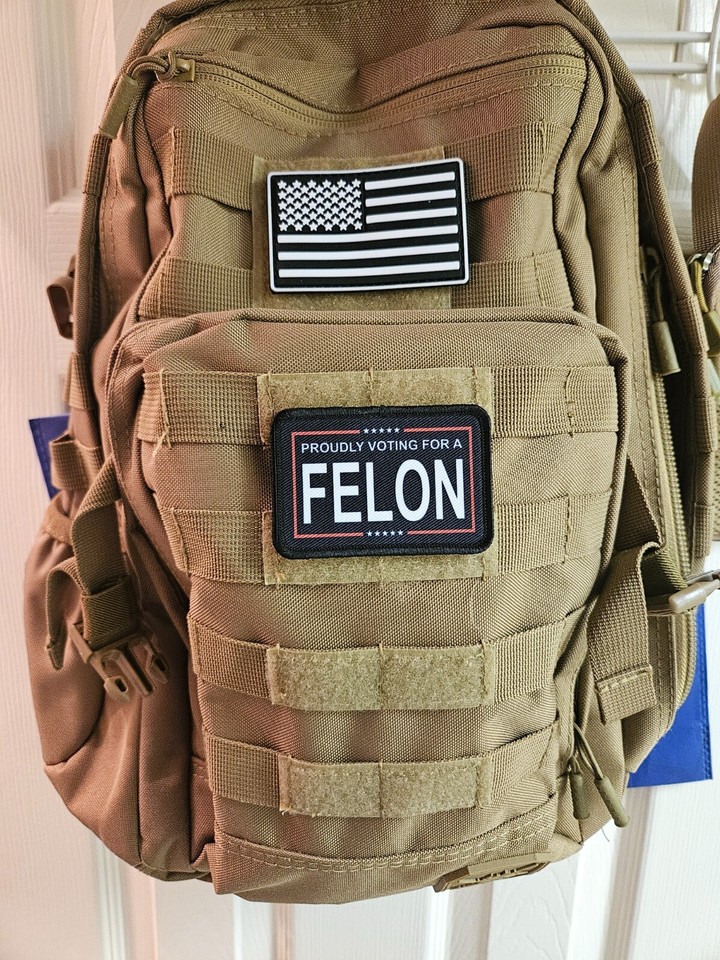 Proudly voting for a felon 2"x3" hook & loop backing patch funny meme ...