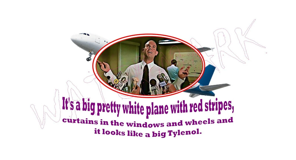 Airplane Movie Quotes Johnny