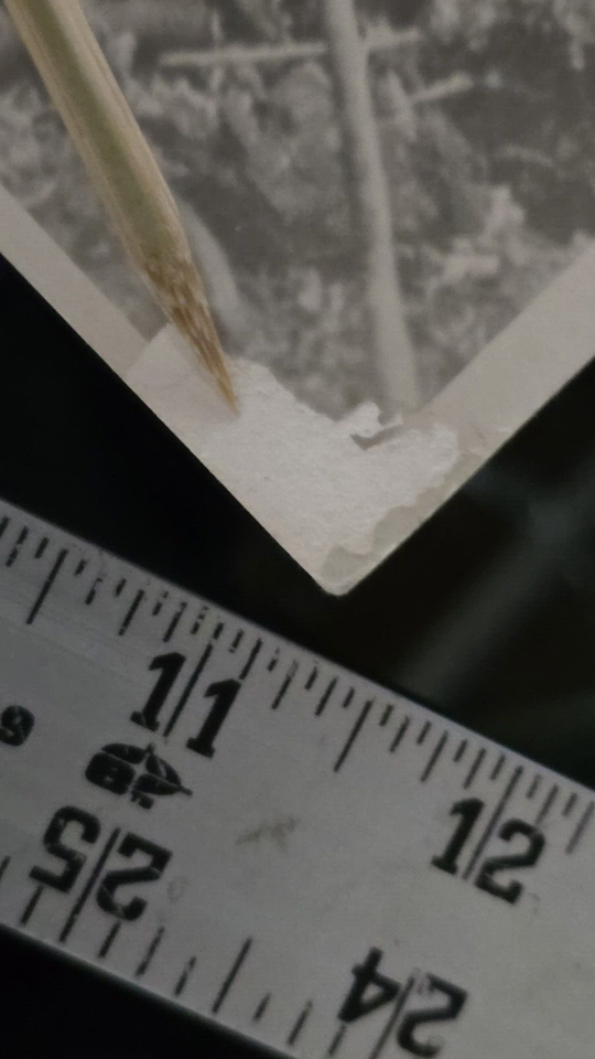 WW2 SEABEE LARGE PHOTO RARE BULLDOZER ON GUAM 1945 103rd NCB USN VET ...