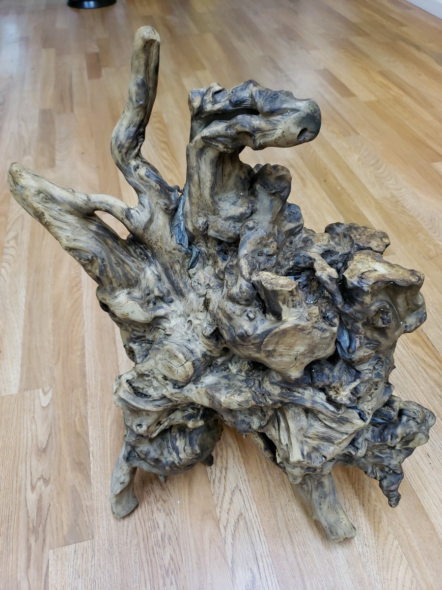 Organic Wood Sculpture Root Carving Large Natural Wood Art (Natural