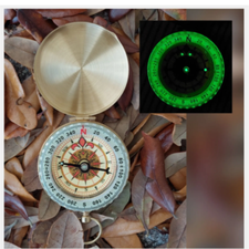 Wiggi-1 | eBay Stores