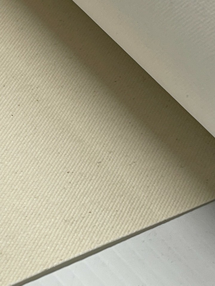 Paramount Artist Large Blank Canvas for Painting 17" 36" 44" 60" | eBay