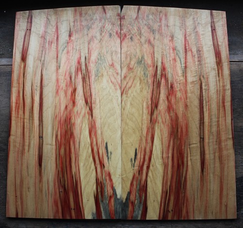 Curly red flame box elder maple drop top .29" thk bass guitar tonewood ...