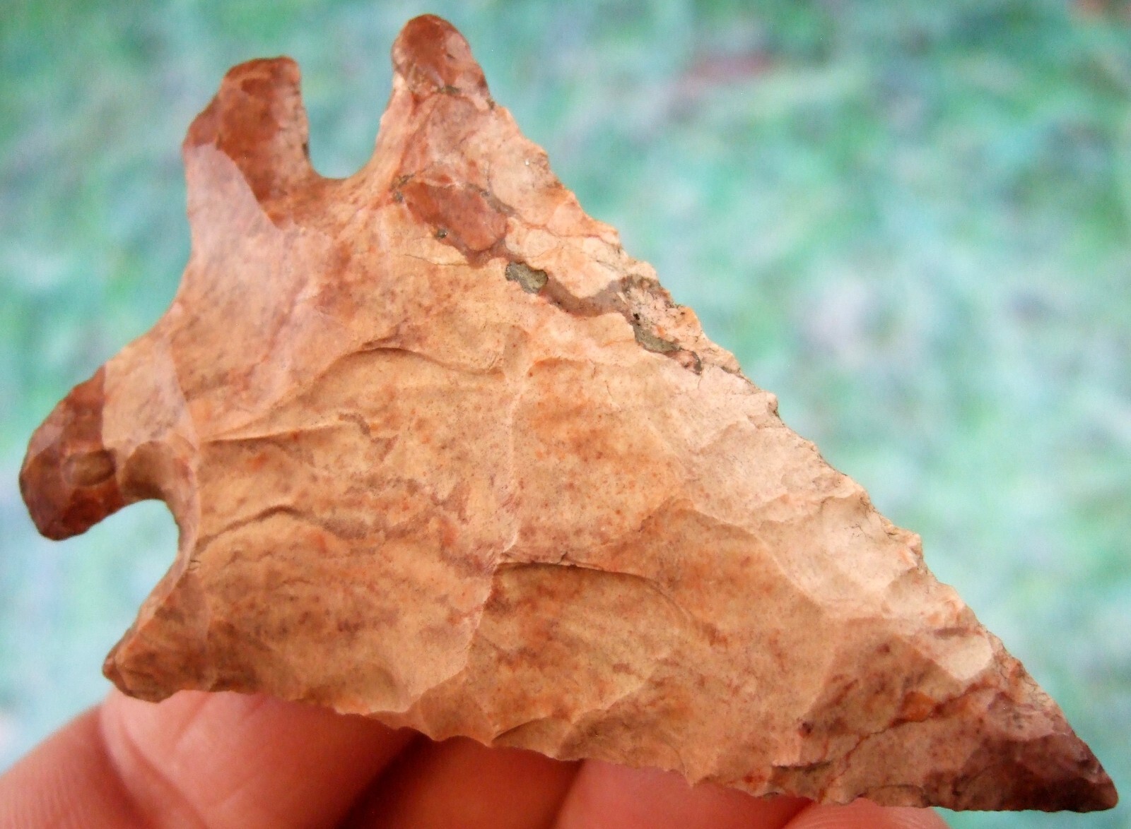 Super Fine Colorful 2 7/8 inch G10 Tennessee Pine tree Point with COA ...