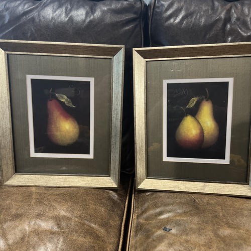 Emily Adams Art in Motion Pears No. 19 & 25 Framed & Matted Picture 16 ...