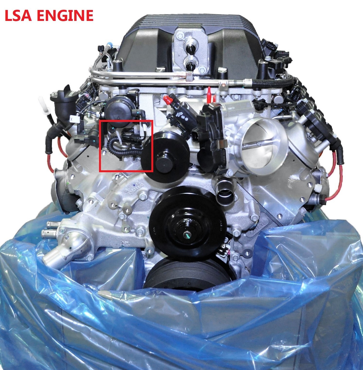 Genuine OEM GM 12599298 Positive Crankcase Ventilation PCV Tube Hose ...