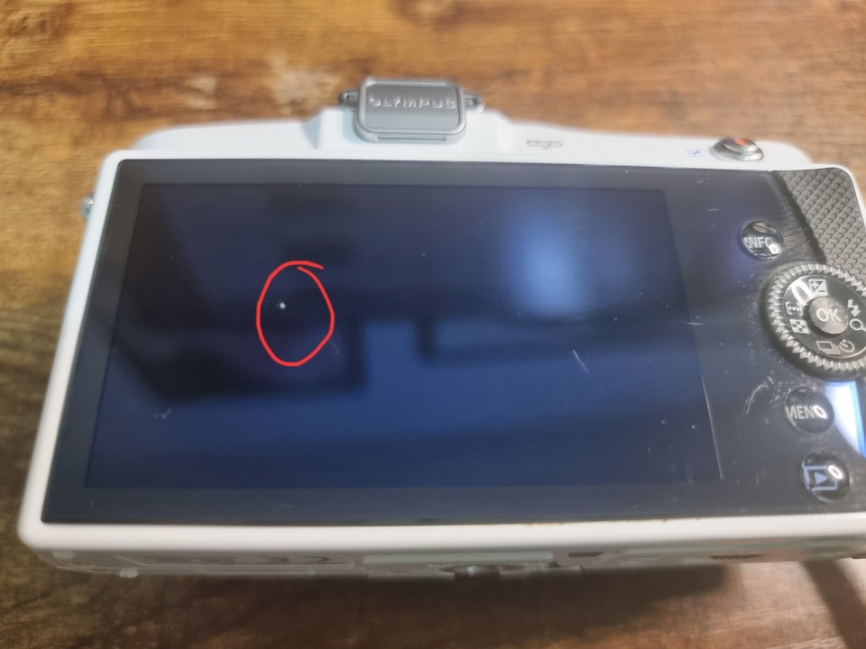 Olympus PEN E-PL1 Digital Camera Body - Battery & original Charger ...