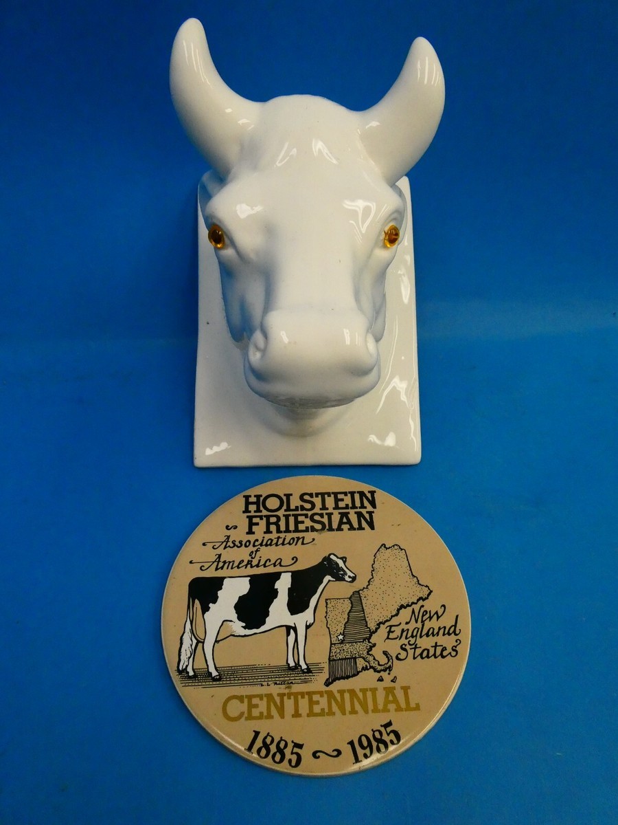 Holstein With Horns Beautiful Red Dairy Cow Horns Staring Stock Photo