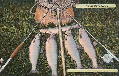 A Fine Day's Catch, Fish Fishing - Beautiful Old Vintage Standard Linen ...