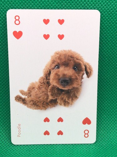 Poodle Heart 8 THE DOG Playing card Artlist Collection Japan | eBay