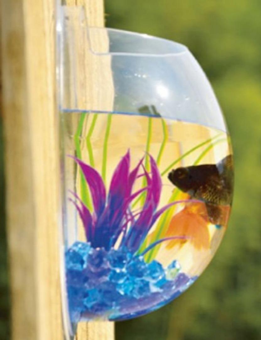 1pcs Creative Acrylic Hanging Wall Mount Fish Tank Bowl Vase Aquarium ...