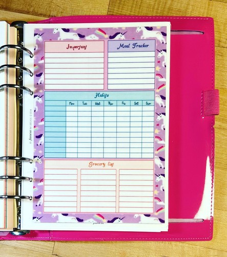 Daily Tracker Two Sided Dashboard for use with Filofax A5 | eBay