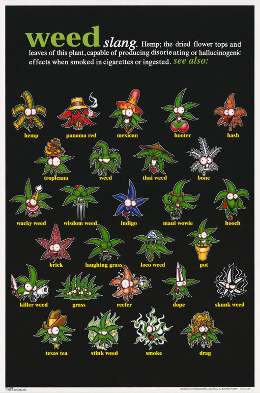 POSTER MARIJUANA THEME WEED SLANG TERMS FREE SHIPPING FL3204S poster-marijuana-theme-weed-slang-terms-free-shipping-fl3204s