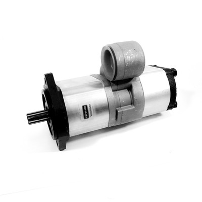 3816909M91 TANDEM PUMP, HYDRAULIC Suitable For MASSEY FERGUSONÂ ...