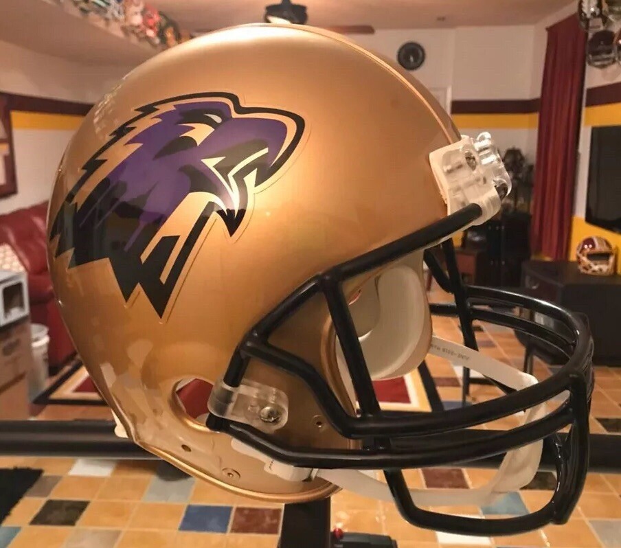 New York CityHawks AFL Football Helmet Decals (Full Size) | eBay