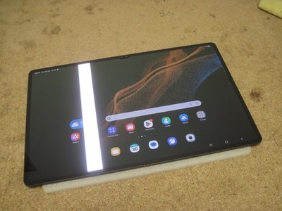 DAMAGED SAMSUNG GALAXY TAB S8 ULTRA 14.6" 256GB WIFI SM-X900 (RN1428 ...