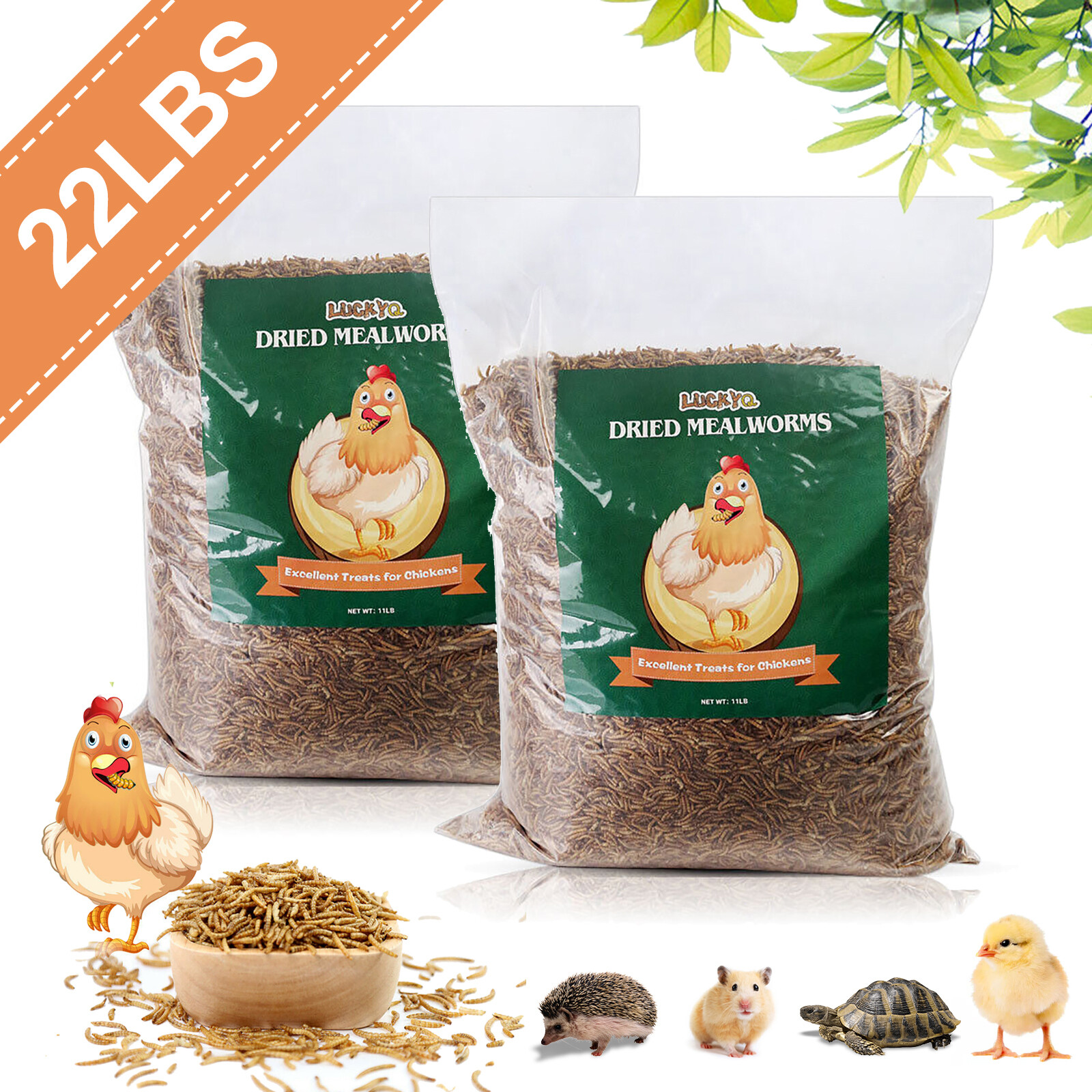 Lot Dried Mealworms Bulk Non-GMO Organic for Wild Blue Bird Food ...