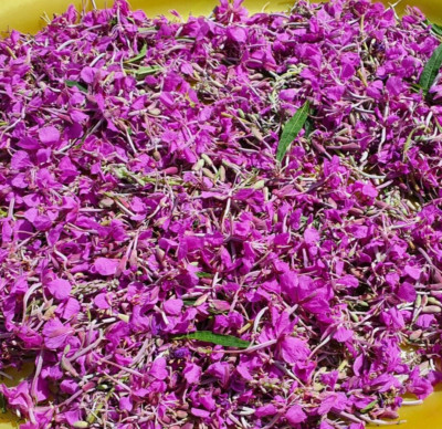 Ivan chai/Willowherb Craft tea/ Fireweed/Fermented/ 1.75 oz/Large leaf ...