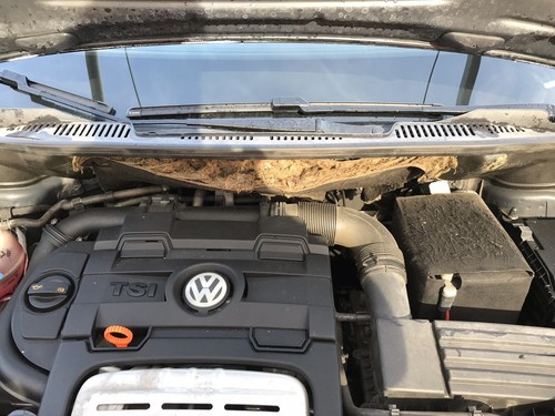 Volkswagen 1T0863993G Dämpfung für Wasserkasten VW Caddy Touran online ...