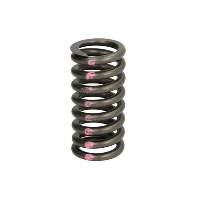 FITS IPD PARTS 4N5906-IPD VALVE SPRING OE REPLACEMENT | eBay