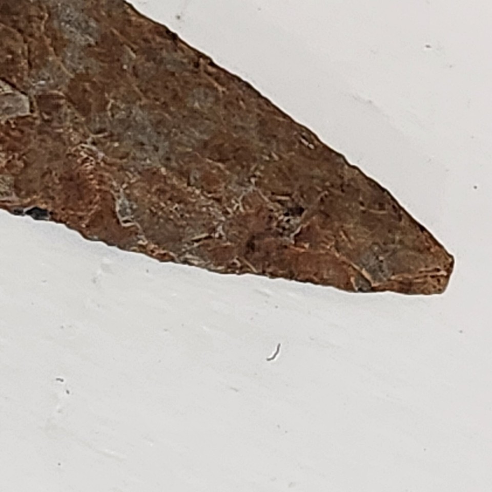 4" Biface Chert Knife Blade - Catawba River South Carolina Paleo Indian ...