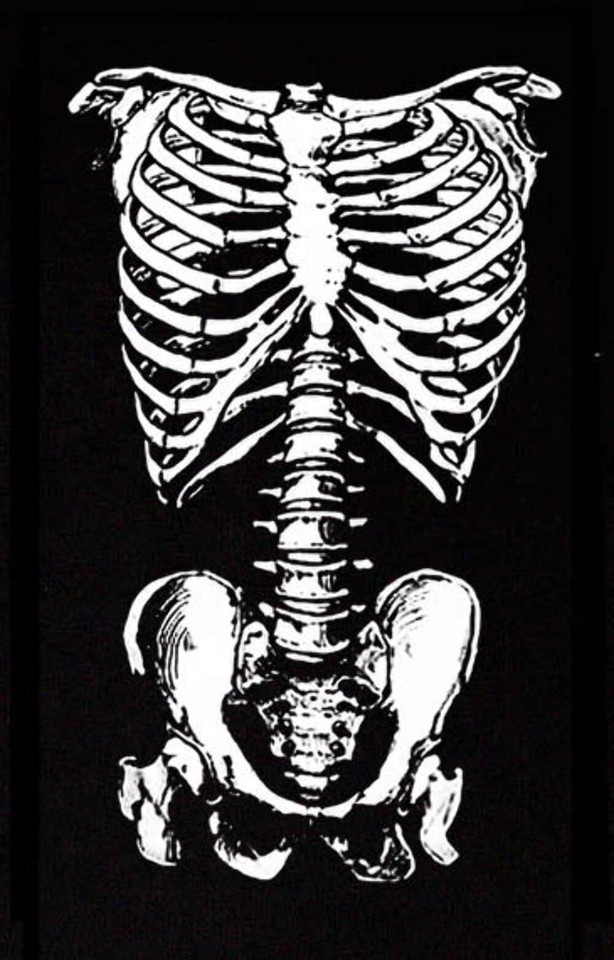 Skeleton Front – Donnie Darko Bones Costume Emo T-Shirt | eBay