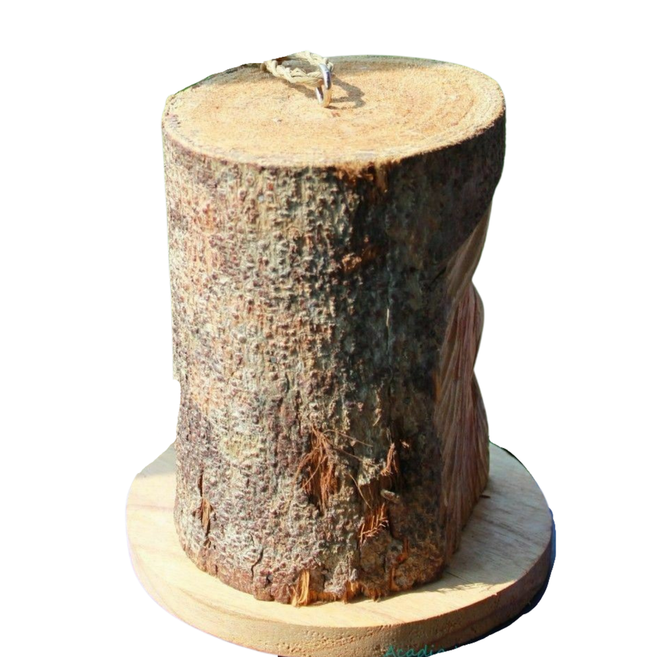Tree Spirit Birdhouse Wizard rustic Hand Carved Wood Bird house Bali ...