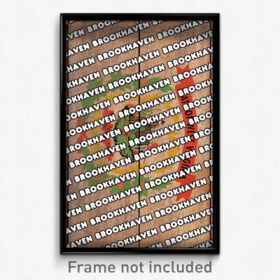 Brookhaven West Virginia Poster (WV City Souvenir 11x17 Town Print) | eBay