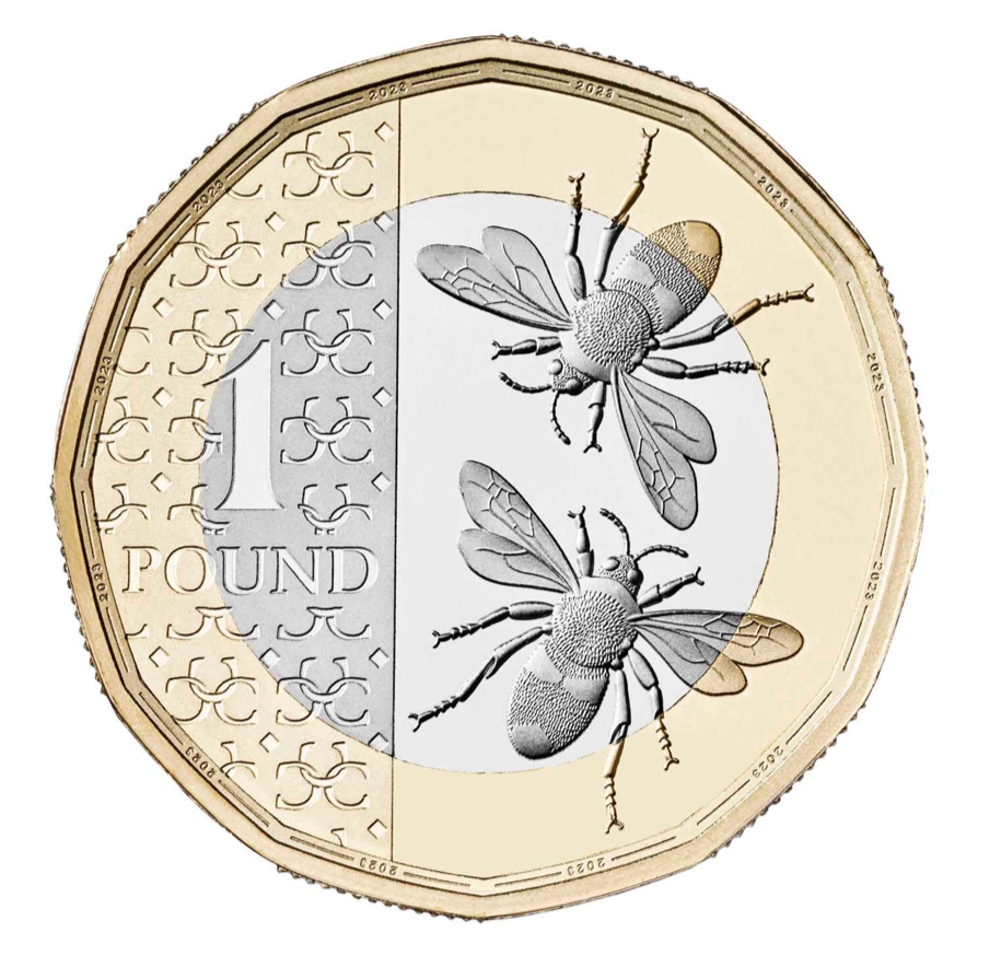 2023 PROOF 1 ONE POUND BEES COIN SPECIAL PRIVY IN HAND SOLD OUT!!! | eBay