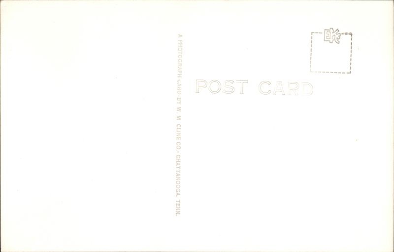 RPPC Chipley,GA Lake Franklin-Roosevelt State Park Cline 2-D-58 Georgia ...