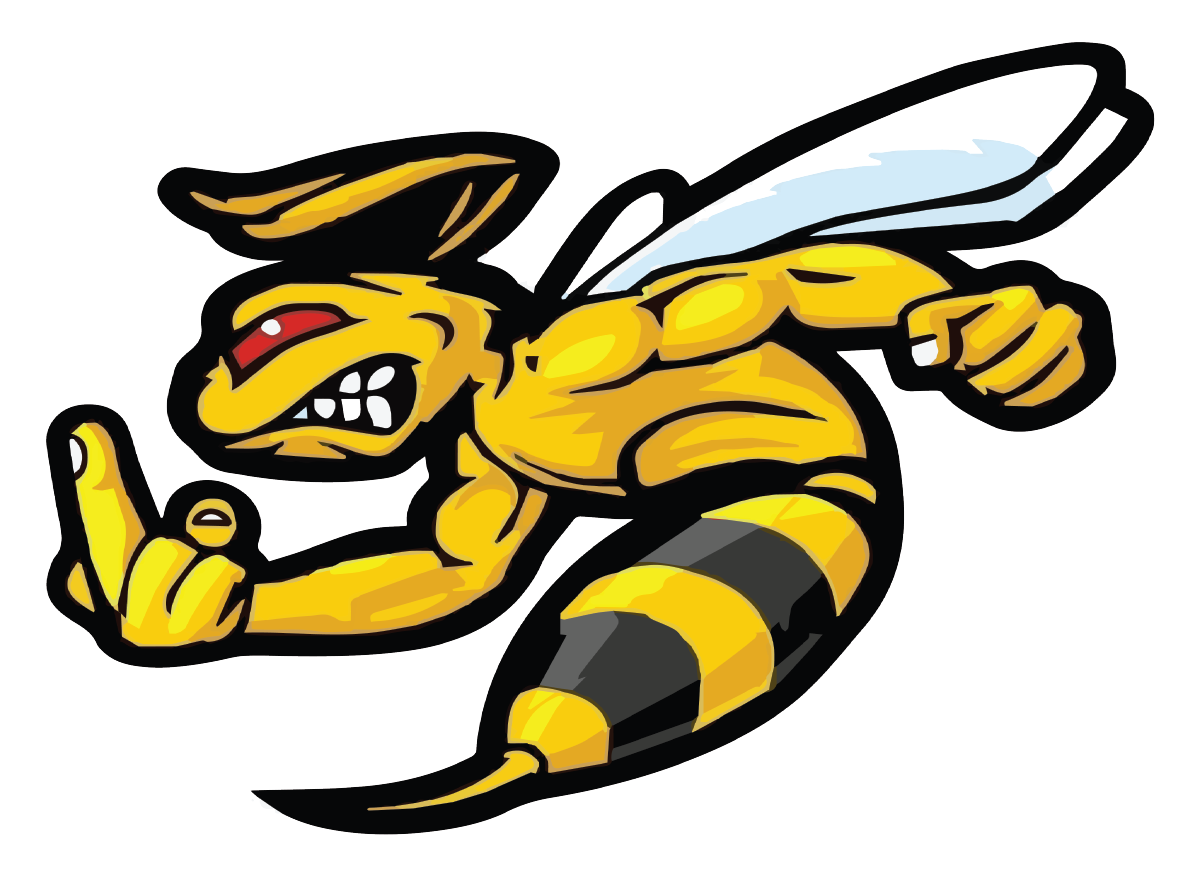 SUPER BEE MIDDLE FINGER STICKER DECAL Ski Decals Doo Trailer Scat Pack ...