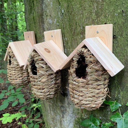 Bird Nest Box Wood Wooden Nesting Boxes Wild Birdhouse Straw Robin ...