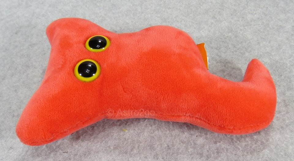 GIANT MICROBES-APPENDIX-Stuffed Plush Organ Appendicitis Colon Anatomy ...