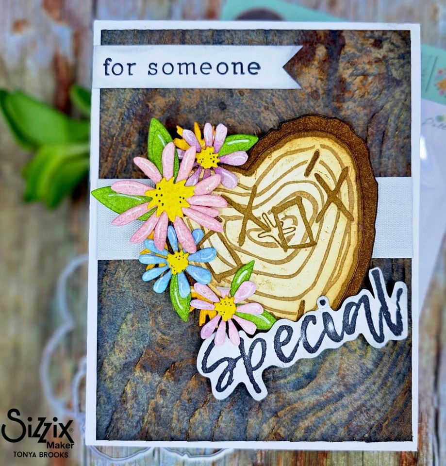 New Sizzix Thinlits Fabulous Bold Floral #666255 16pc Retail $24.99 Debi Potter | eBay