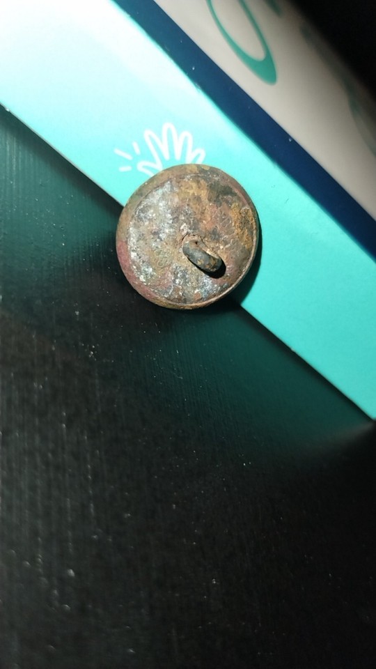 SC Civil War - Confederate Militia Uniform button | eBay