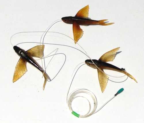 VINTAGE Yummee DAISY CHAIN FISHING LURE TUNA,MARLIN,MAHI FLYING FISH ...