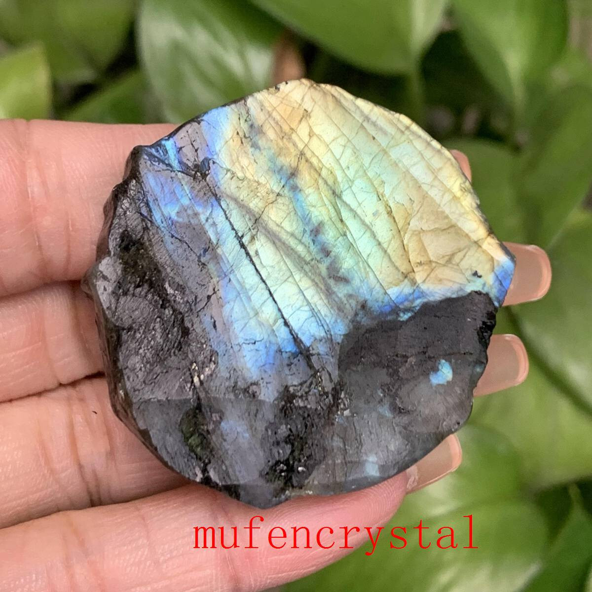 A++Natural labradorite Quartz Crystal Hand Carved pegasus Skull Reiki ...