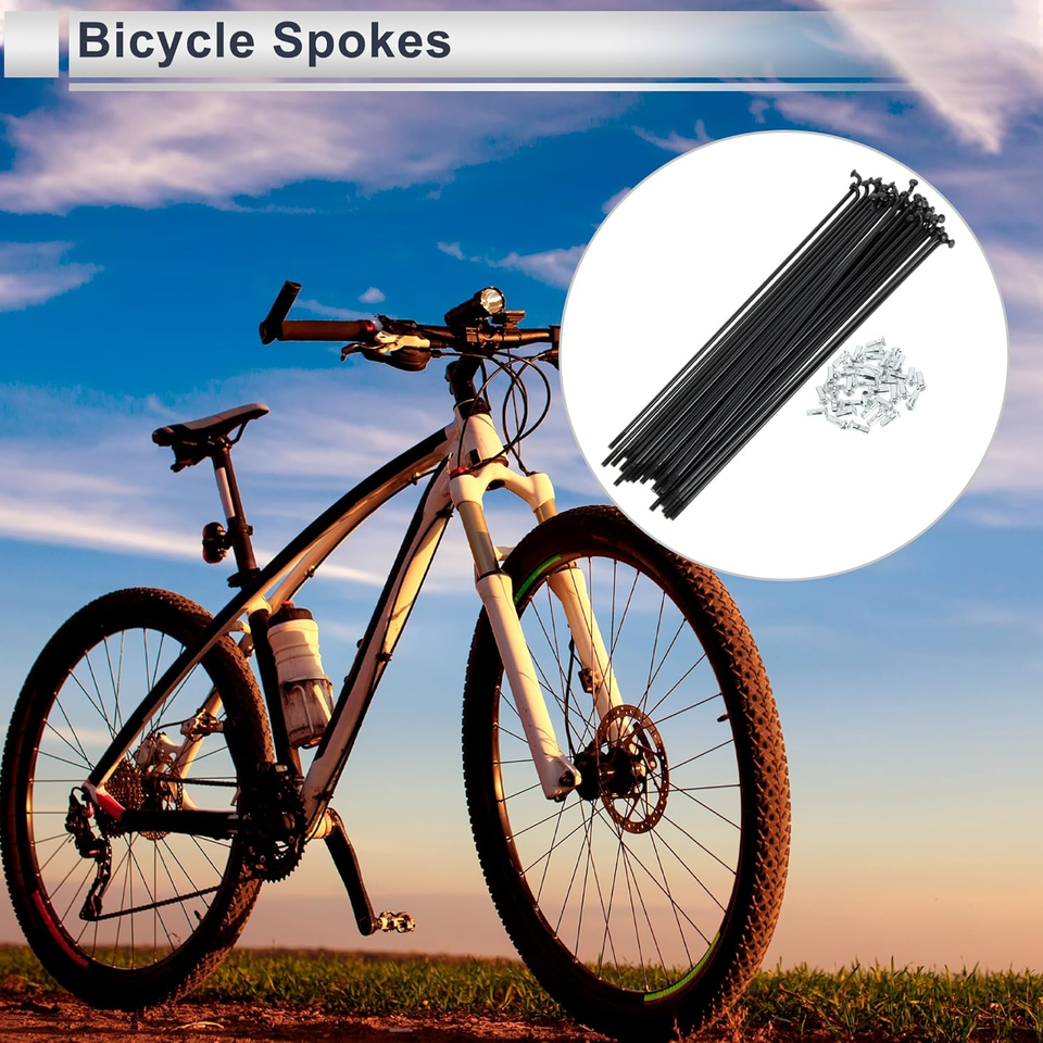 1 Set Universale Raggi per Bicicletta 12G Lunghezza 202Mm Raggi Ruota ...