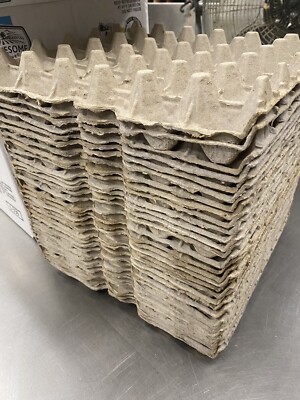 *33*CHICKEN EGG CARTONS PAPER TRAYS FLATS HATCHING CRAFT POULTRY, 990 ...