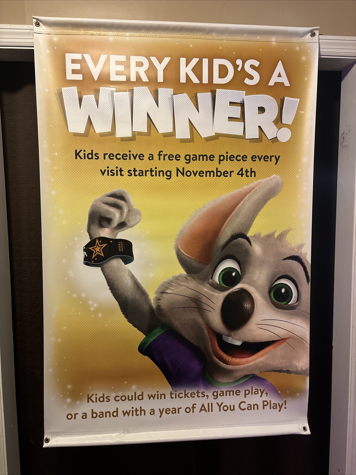 Chuck E Cheese Double Sided Vinyl Poster Large 53” By 35” Authentic ...