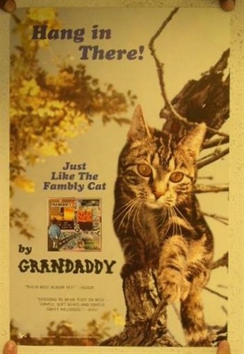 Grandaddy Hang IN There Solo Come Il Fambly Gatto Poster | eBay