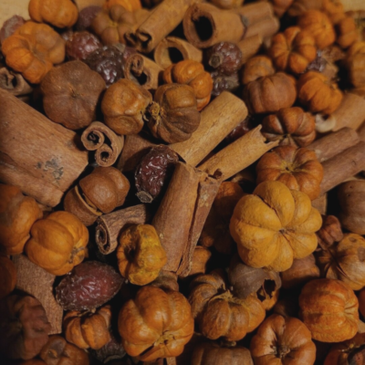 PRIMITIVE PUTKA PODS, rose hips and cinnamon sticks potpourri | eBay