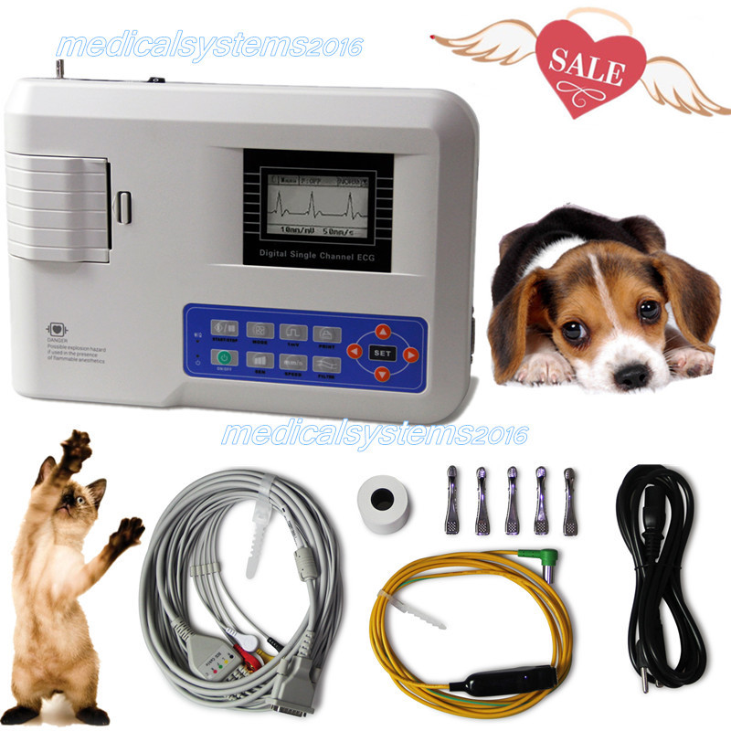 Veterinary Ecg Machine Digital Ecg Machine Veterinary, 3 Channels At