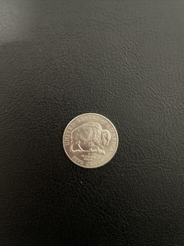 2005 p jefferson buffalo nickel | eBay