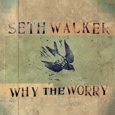 Seth Walker Why the Worry (CD) Album | eBay