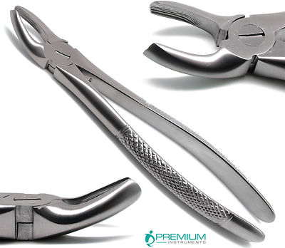 Dental Mead Forceps MD2 Molar Tooth Extracting Surgical Extraction ...