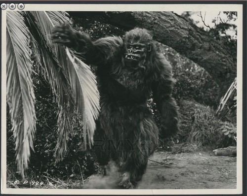 1950 Pygmy Island - Johnny Wiessmuller Film - Special Effects Photo | eBay