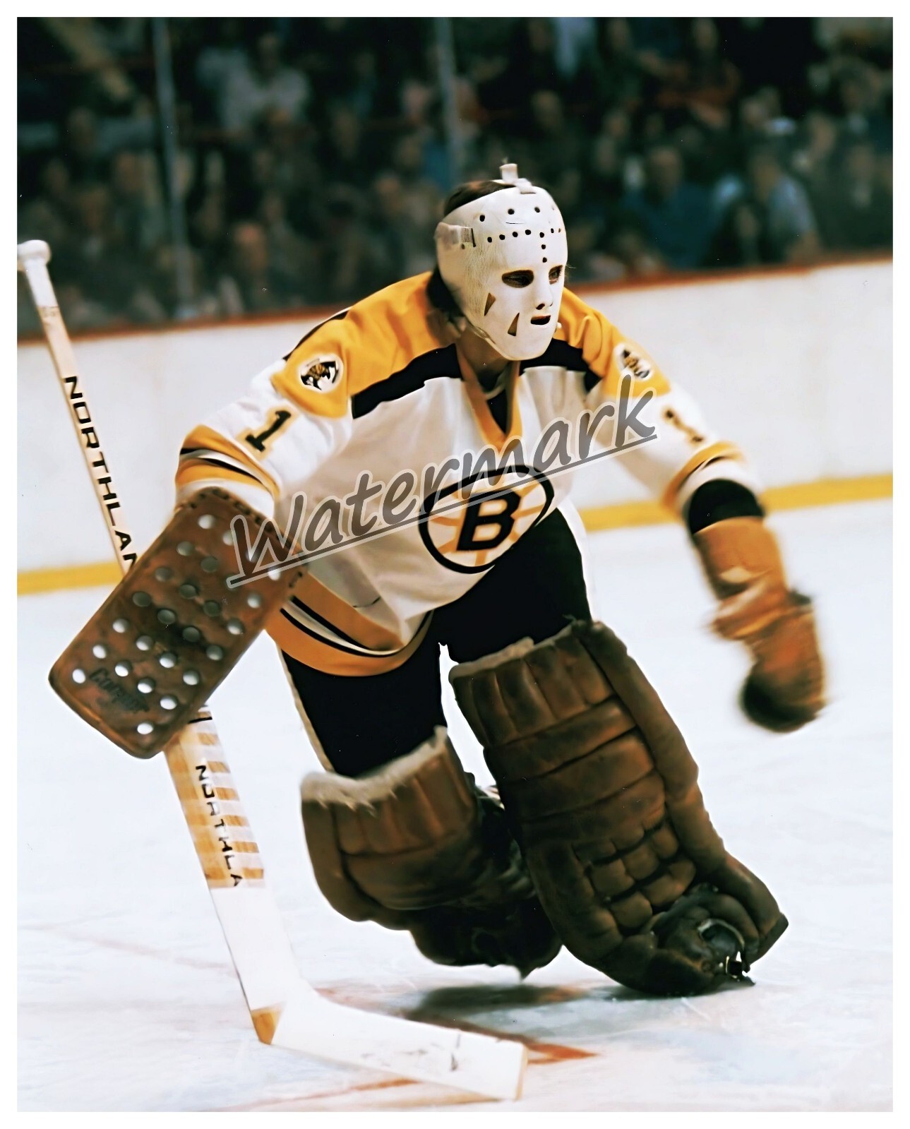 NHL Boston Bruins Goalie Gilles Gilbert Game Action Color 8 X 10 Photo ...