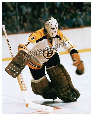 NHL Boston Bruins Goalie Gilles Gilbert Game Action Color 8 X 10 Photo ...